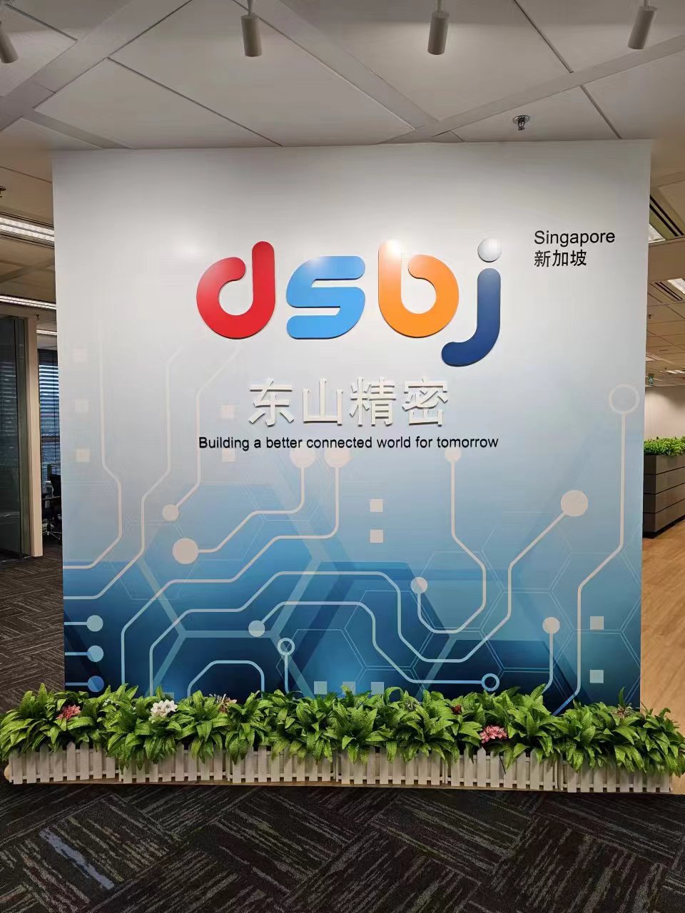 Company Profile-DSBJ