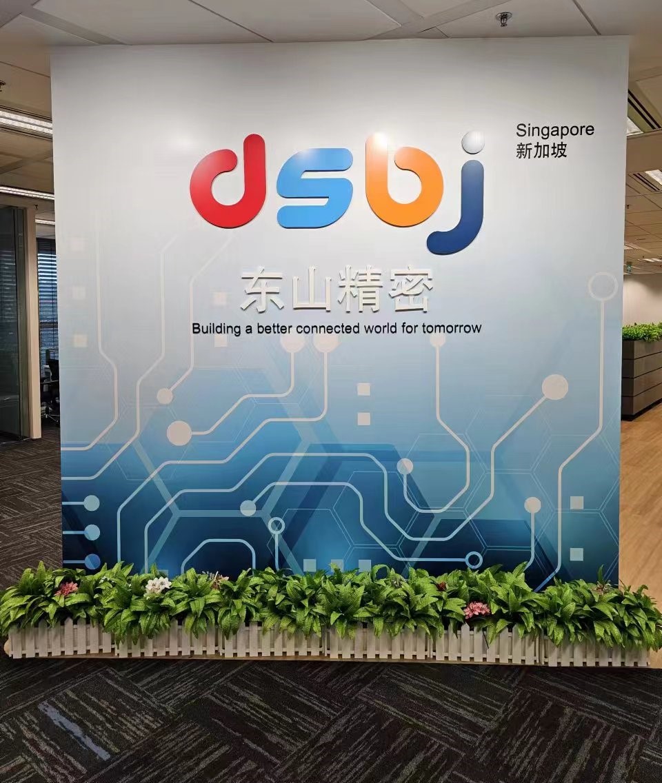 Company Profile-DSBJ